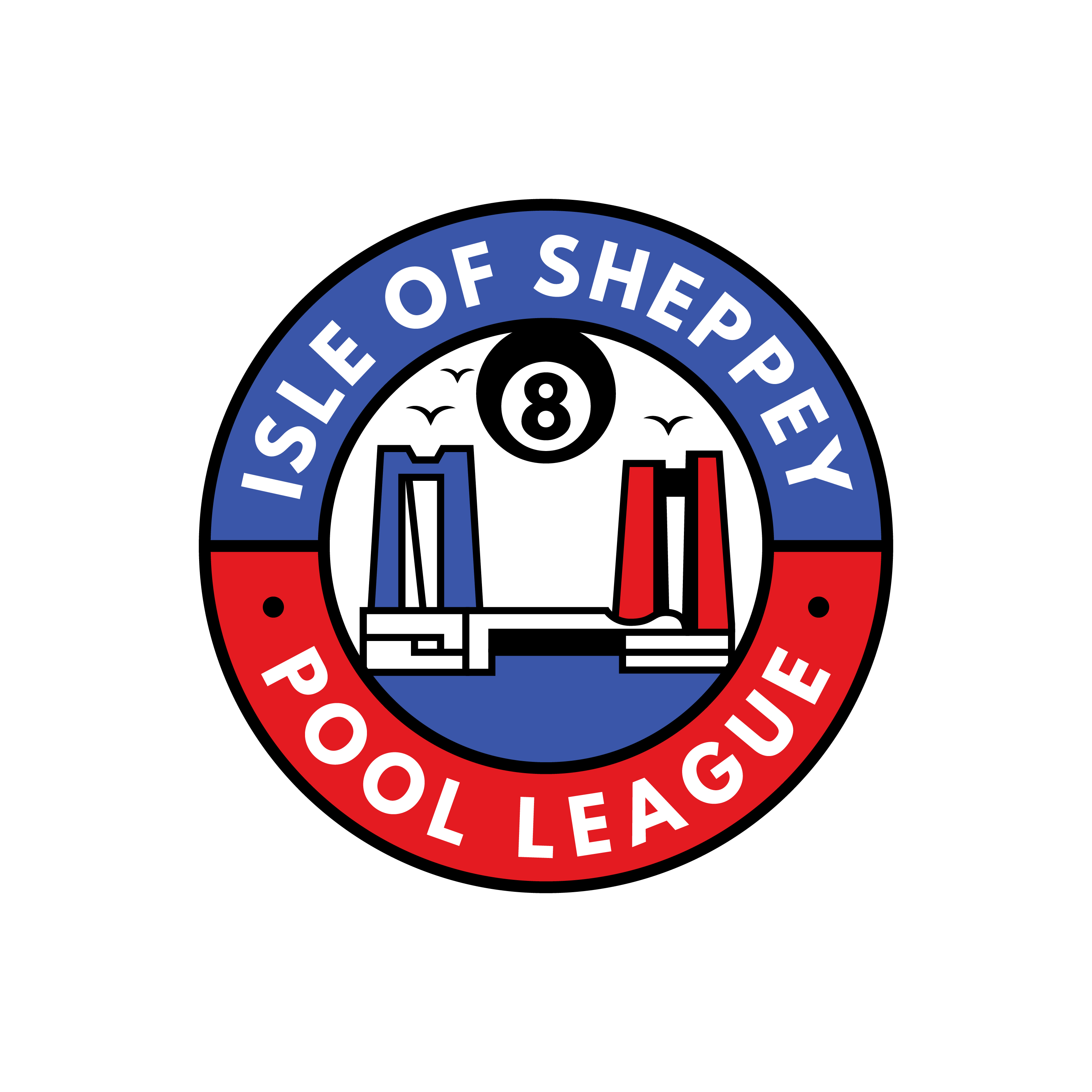 RackEmApp - League and Competition Management Software for Pool Leagues ...